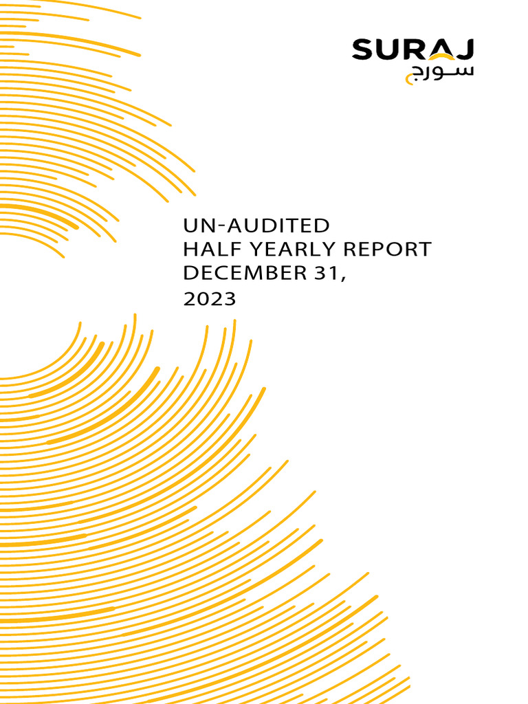 Half Year Report 2024 | PDF