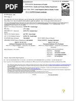 Pakistan Death Certificate | PDF
