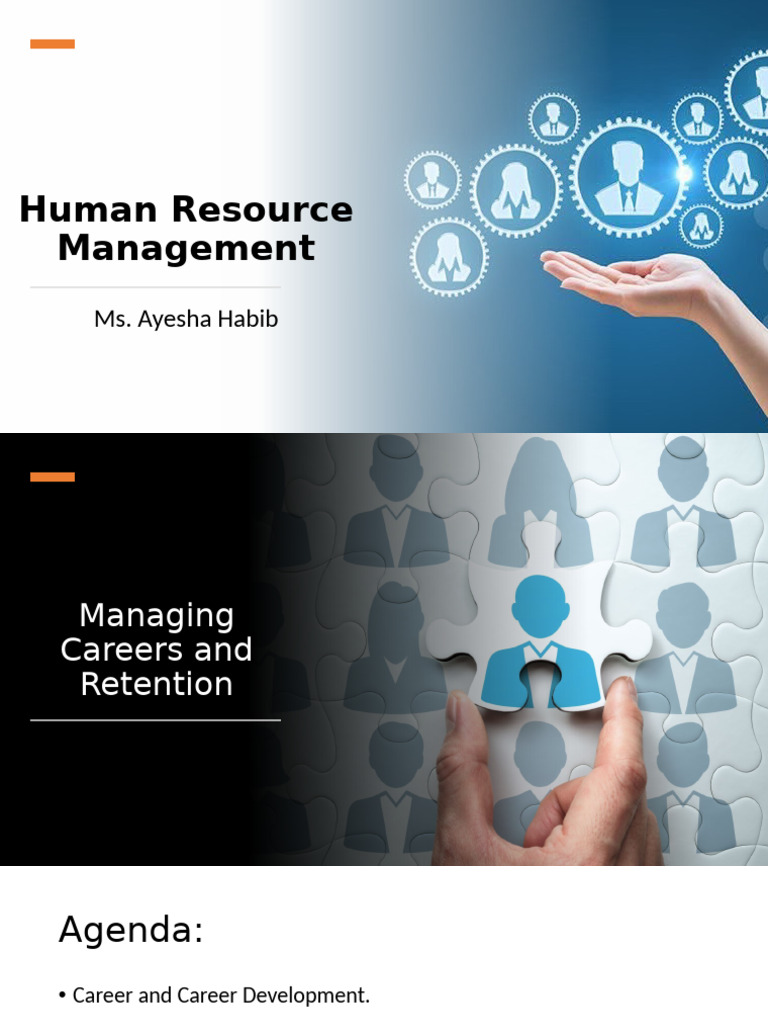 Managing Careers | PDF