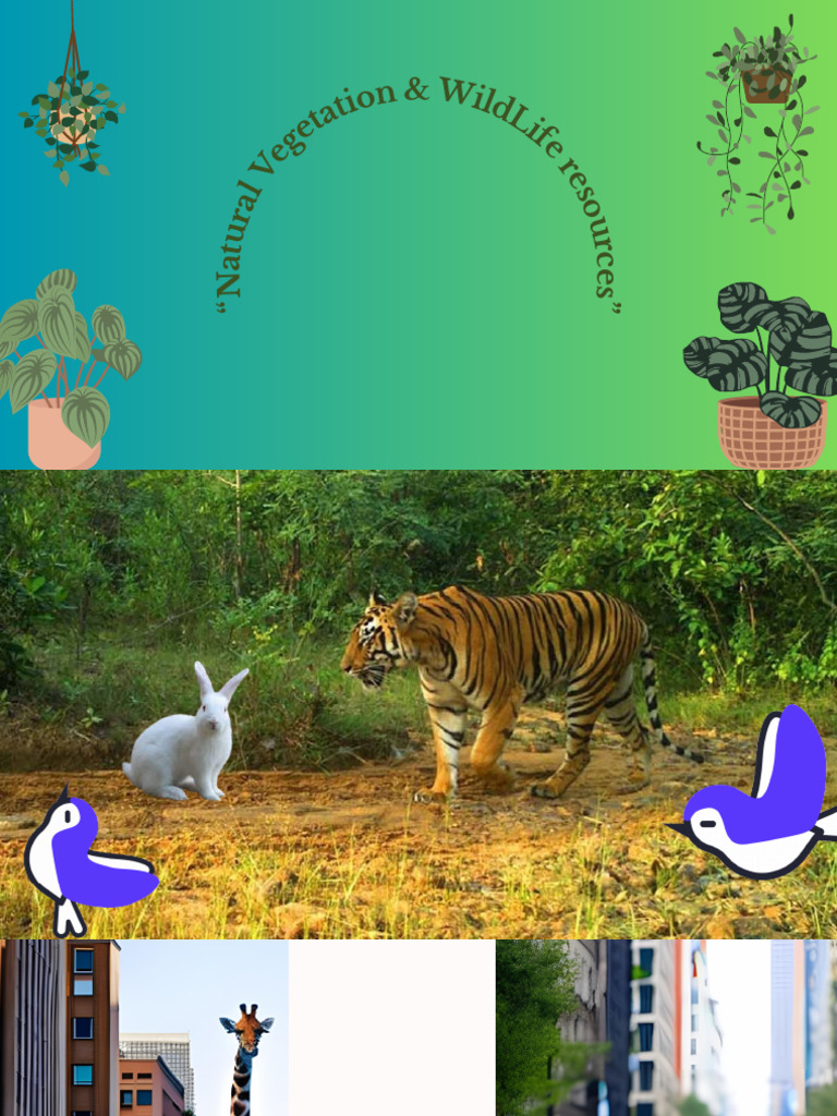 Natural Vegetation & WildLife Resources | PDF