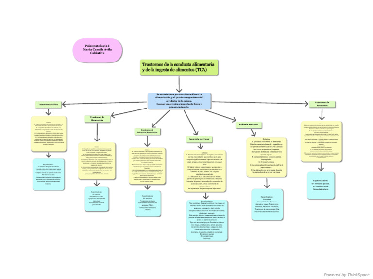 Mapa Conceptual TCA DSM 5 | PDF