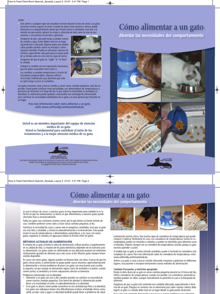 Feline Grimace Scale | PDF | Gatos | Cocina, comidas y vino