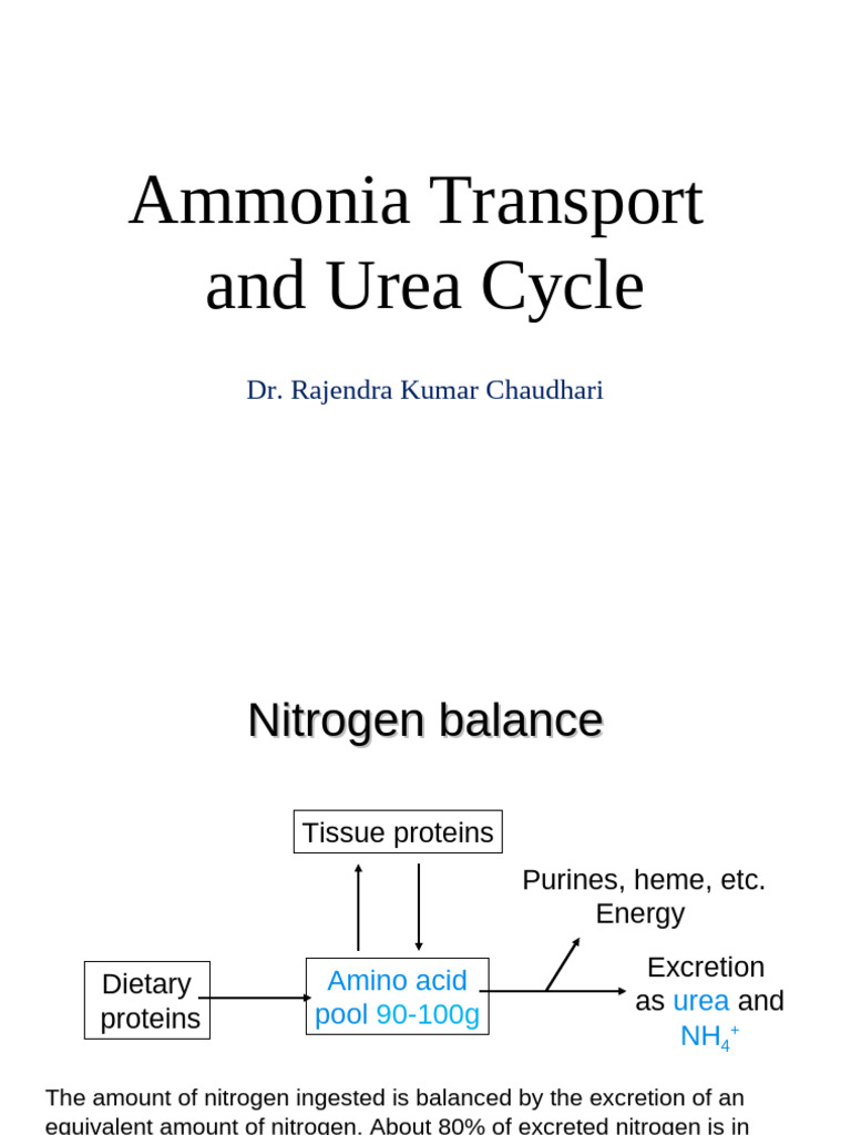 Ammonia Transport And Urea Cycle MBBS 2014 (2) | PDF