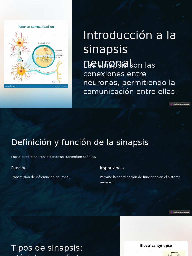 Introduccion A La Sinapsis Neuronal | PDF
