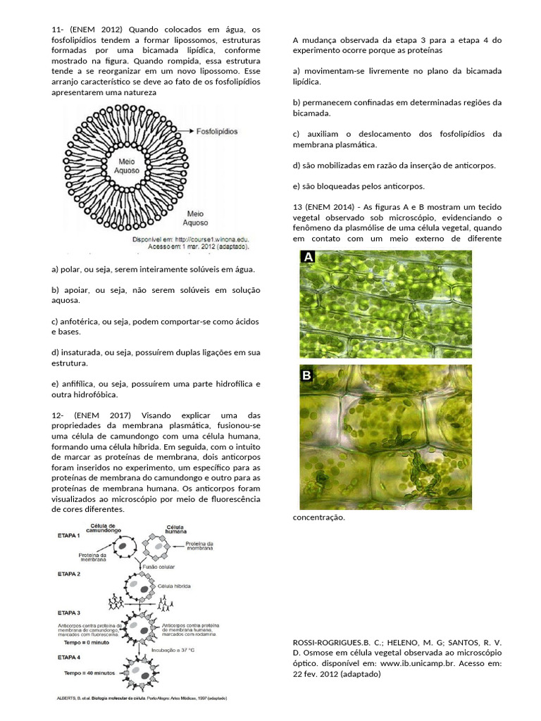 ADH - 1 Série - Volume 4 - O Envoltório Celular | PDF