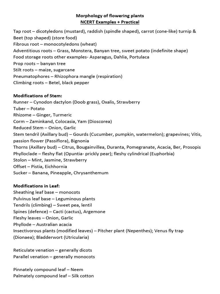 Morphology of Flowering Plants Examples-2 | PDF | Leaf | Plants