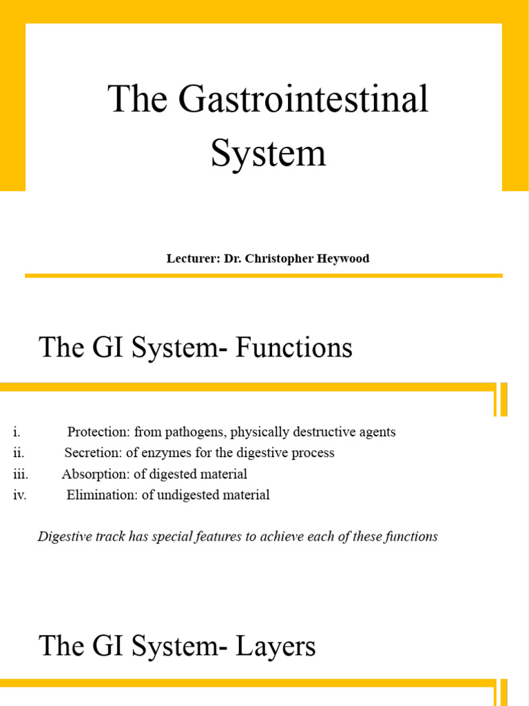 Gastrointestinal System | PDF