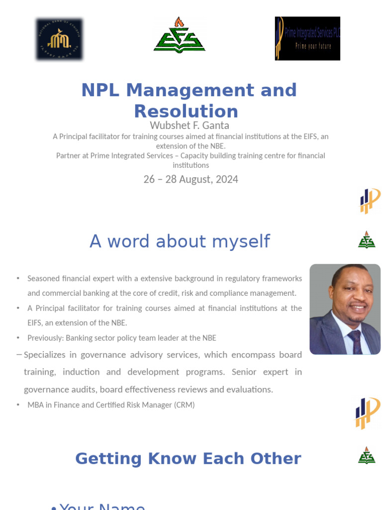 NPL Management and Resolution August 2024 | PDF