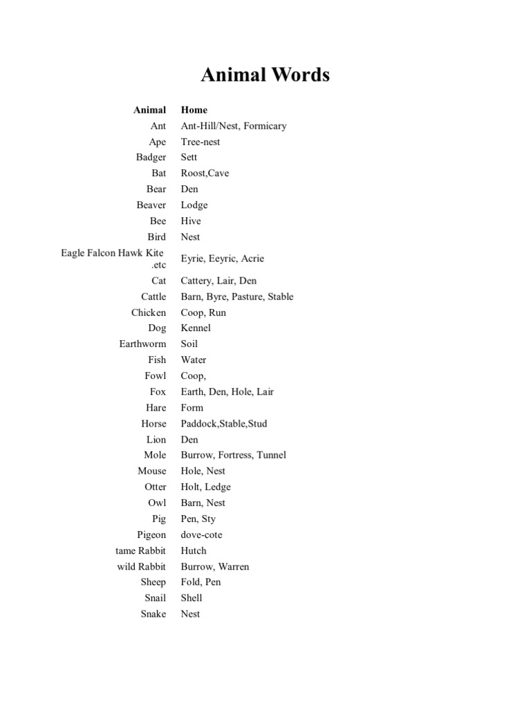 Animal Words | PDF | Wild Boar | Nest