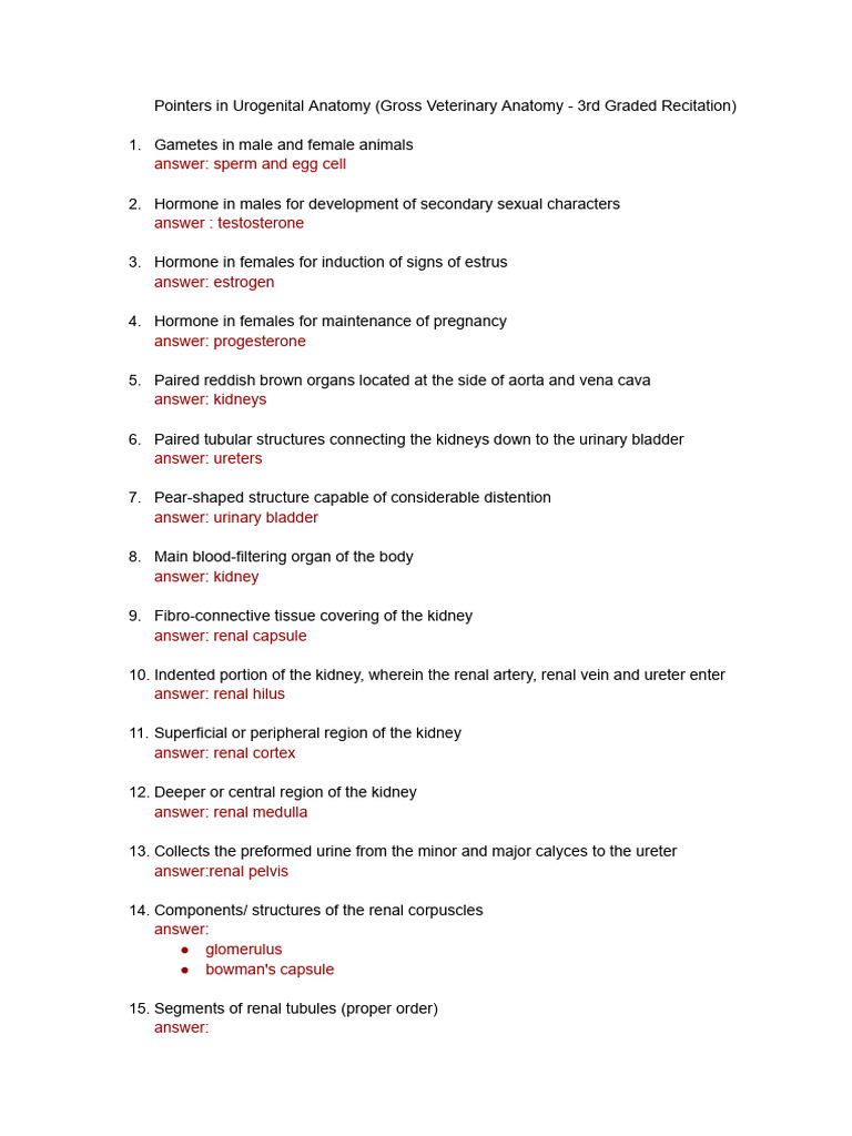 Pointers in Urogenital Anatomy | PDF
