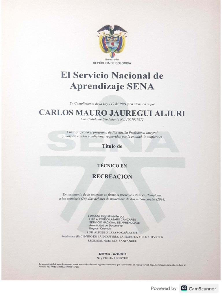 Diploma Tecnico | PDF