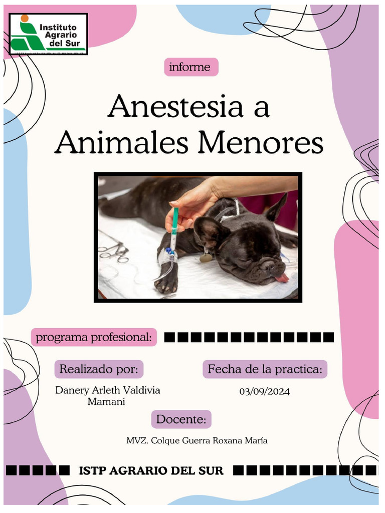 Informe Practica 2 | PDF