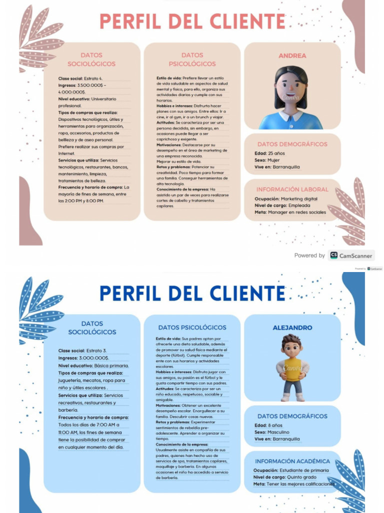 Perfiles de Cliente | PDF