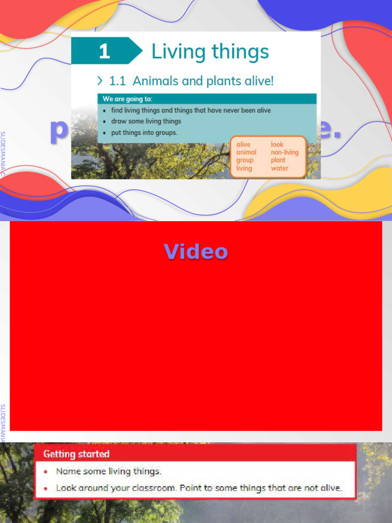 Grade 1 Lesson 1.1 Living things | PDF