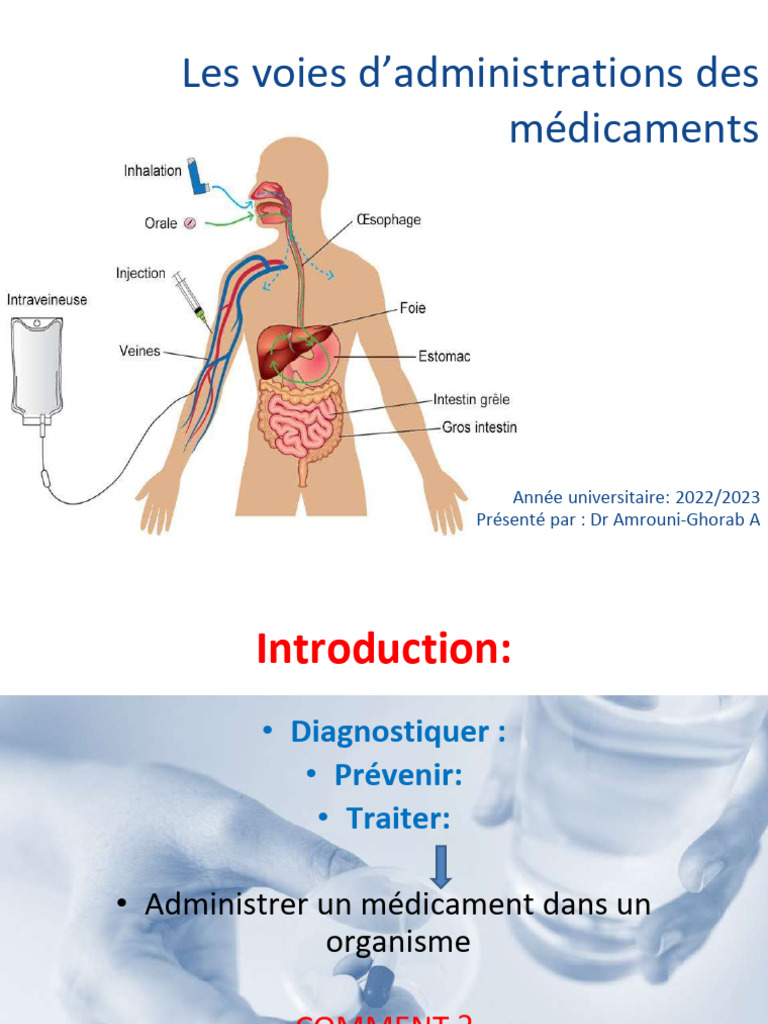 C2 - Les Voies D'administrations Des Médicaments | PDF