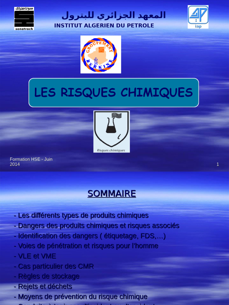 Risques Chimiques | PDF