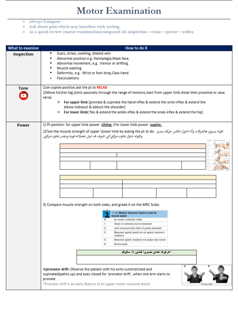 MRC Muscle Strength and Reflex Grading | PDF | Anatomical Terms Of ...