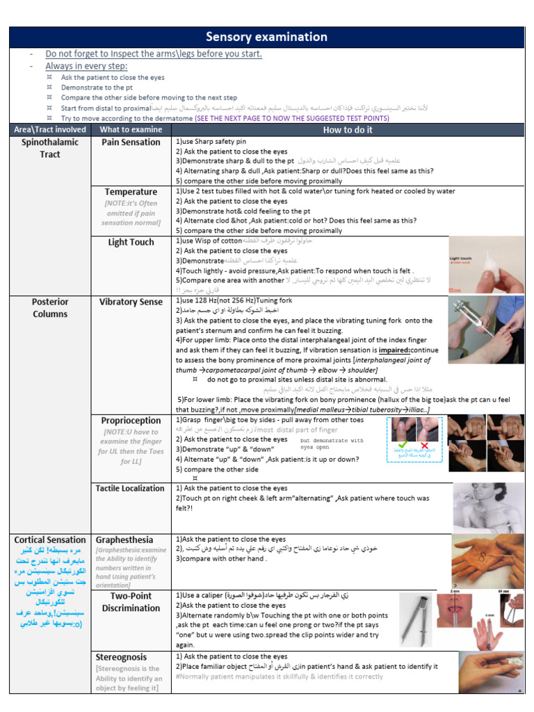 Sensory Examination Techniques Guide | PDF | Toe | Self-Improvement