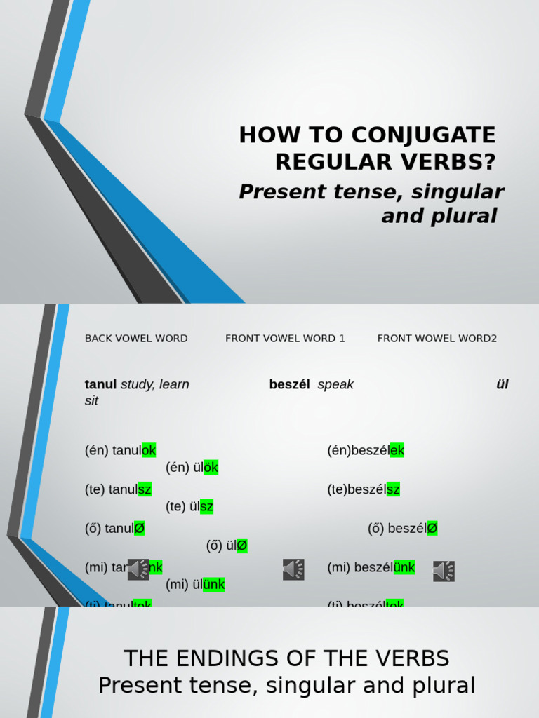 Conjugation in Singular and Plural | PDF
