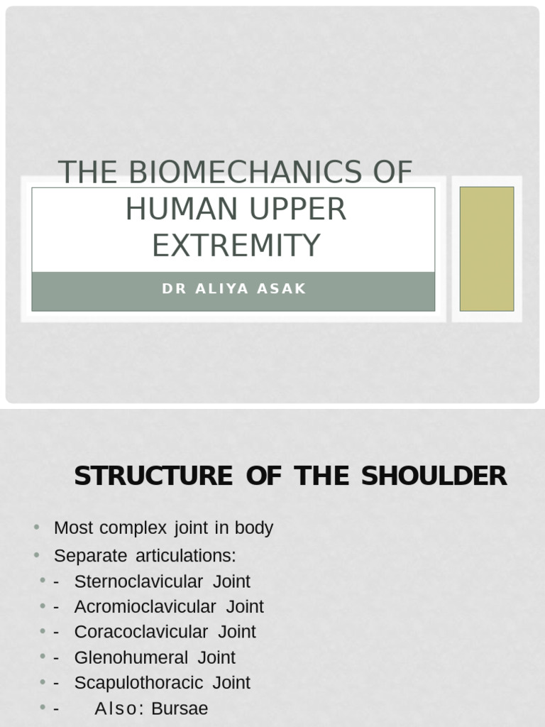 Biomechanics of Human Upper Extrimity | PDF