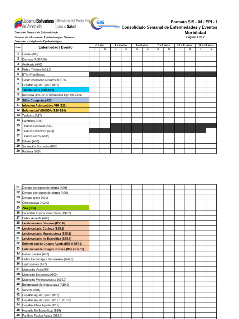 Formato Sis - 04 Epi - 12 | PDF