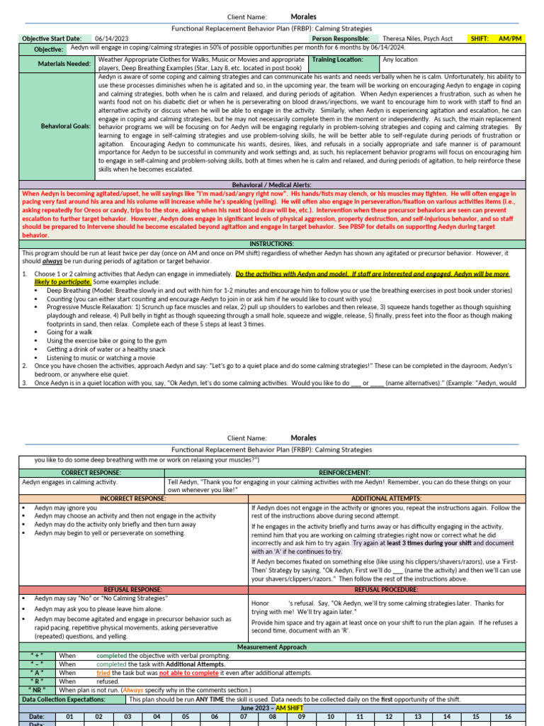 2023 Morales, Aedyn - Calming Strategies | PDF