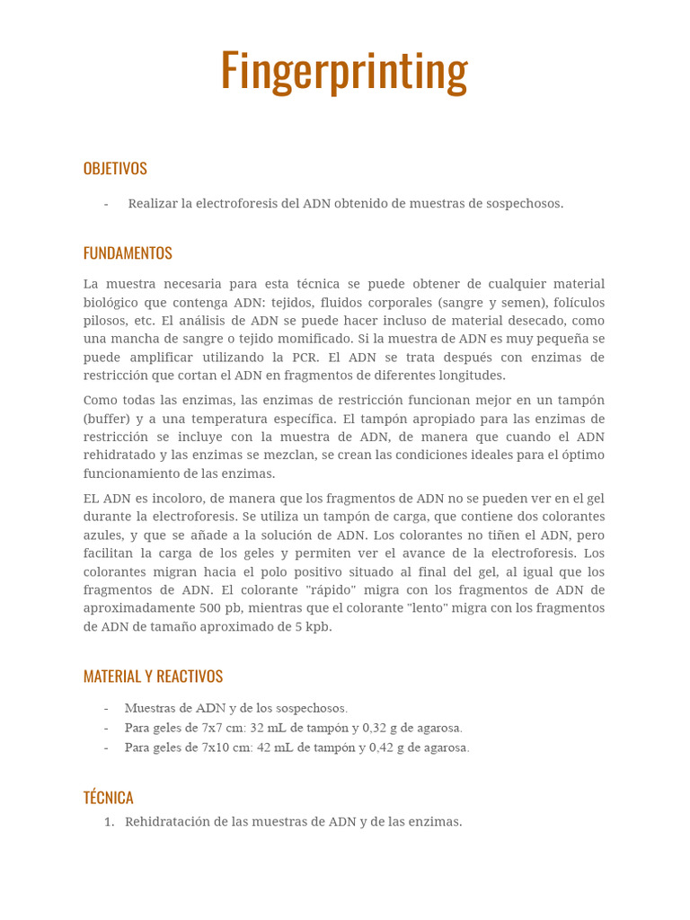 Fingerprinting | PDF