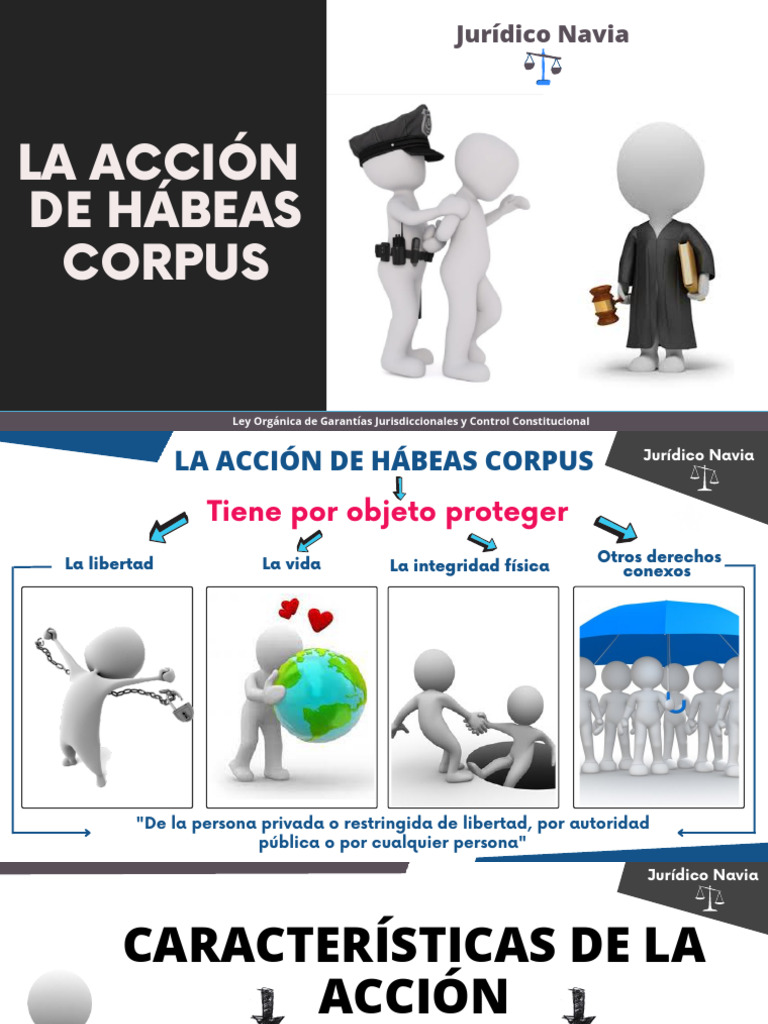 Habeas Corpus | PDF