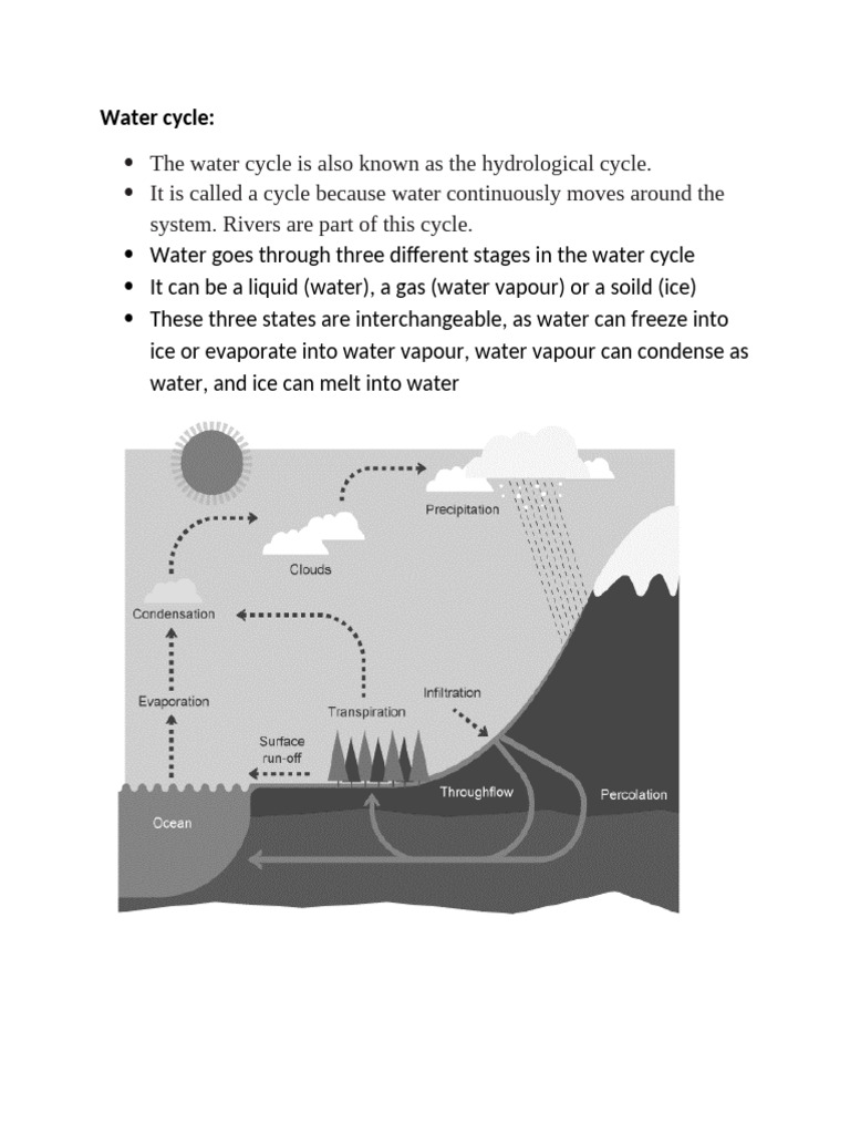 Water_cycle_notes_1 | PDF