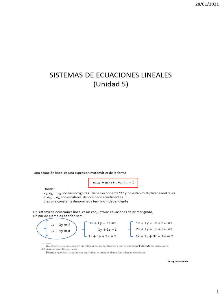 Unidad 5 Sistemas de Ecuaciones Lineales | PDF
