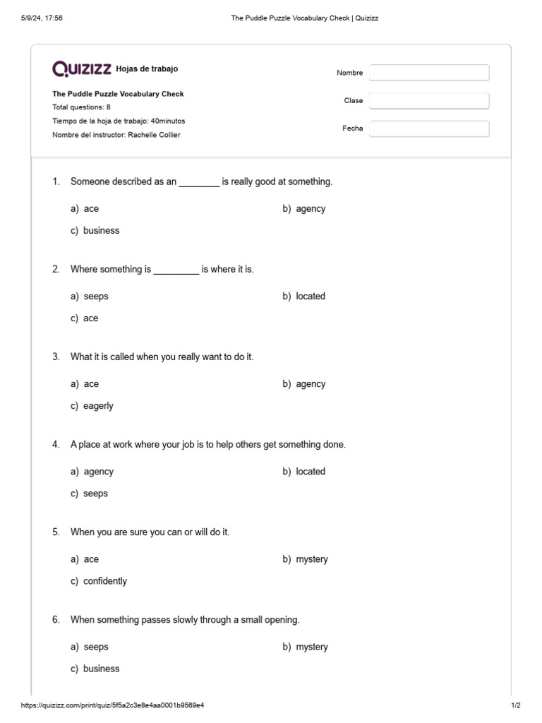 Puddle Puzzle Vocabulary Check | PDF | Career & Growth