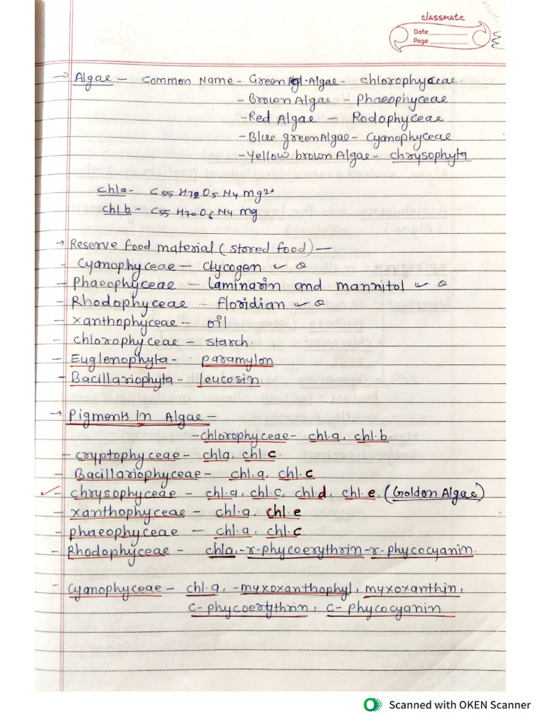 Algae | PDF