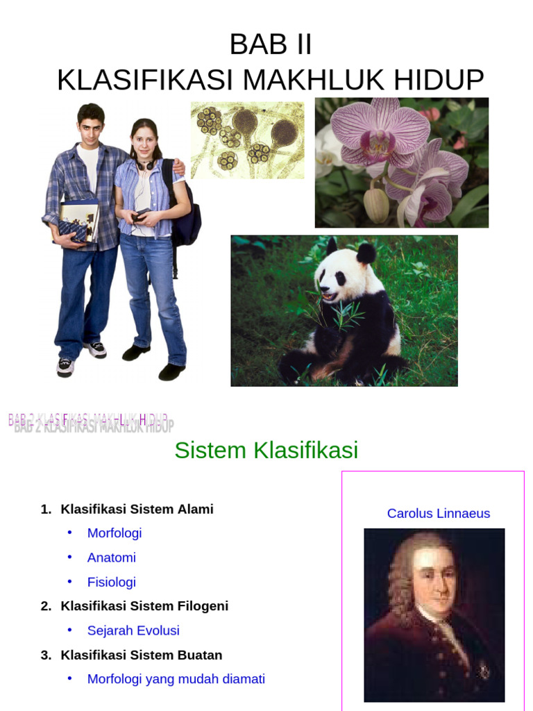 Klasifikasi MH | PDF