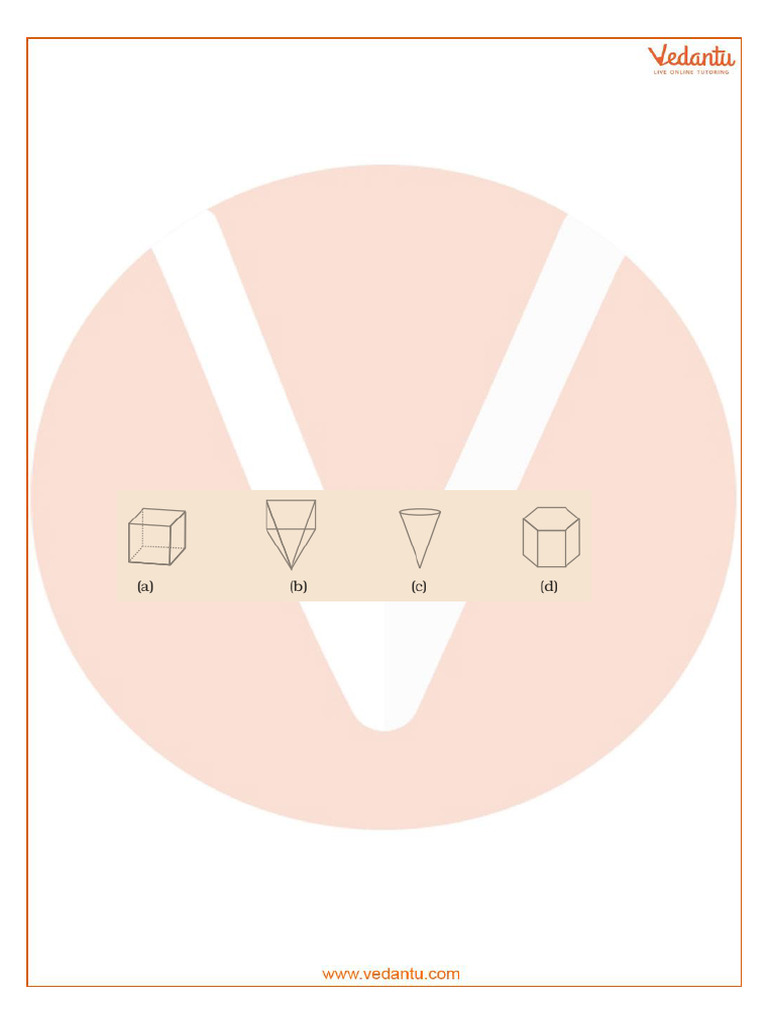 NCERT Exemplar Class 8 Maths Solutions Chapter 6 Visualising The Solid ...