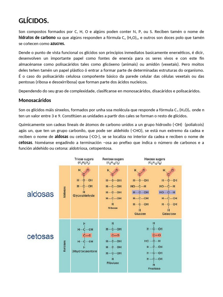 GlÃ Cidos LÃ Pidos | PDF