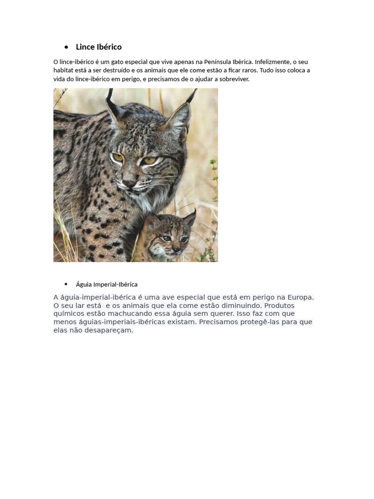 Lince Ibérico | PDF