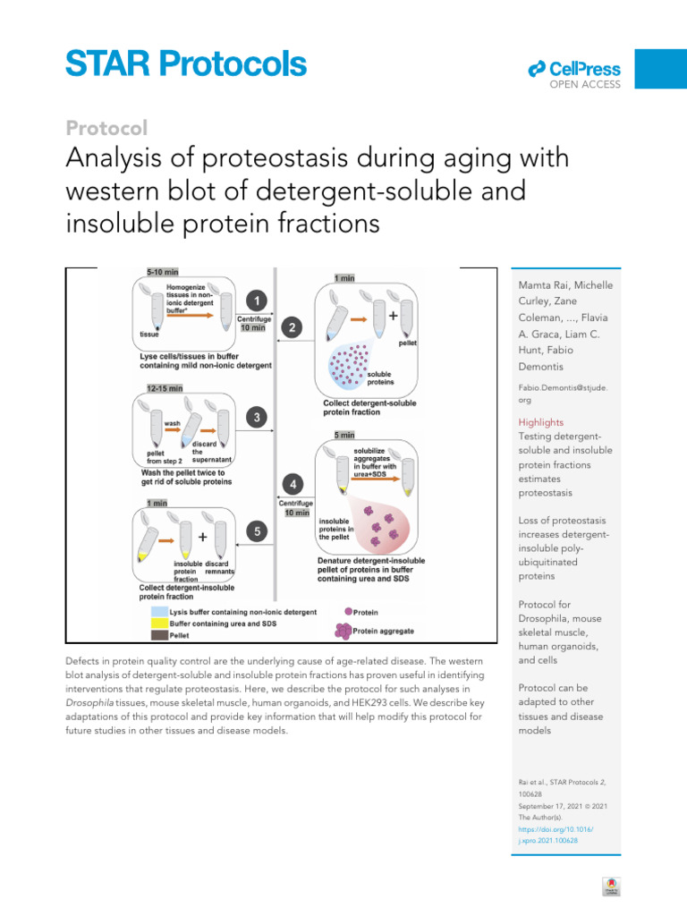 Analysis of Proteostasis During Aging With Western Blot Western Blot of ...
