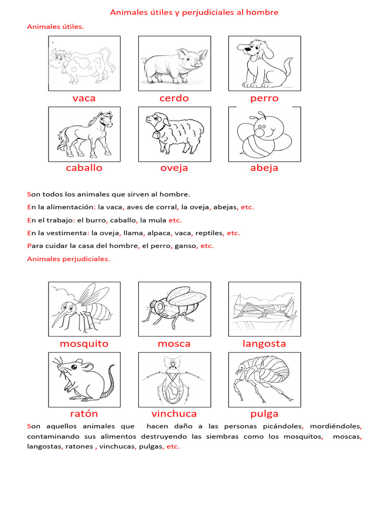 Animales útiles y perjudiciales al hombre | PDF