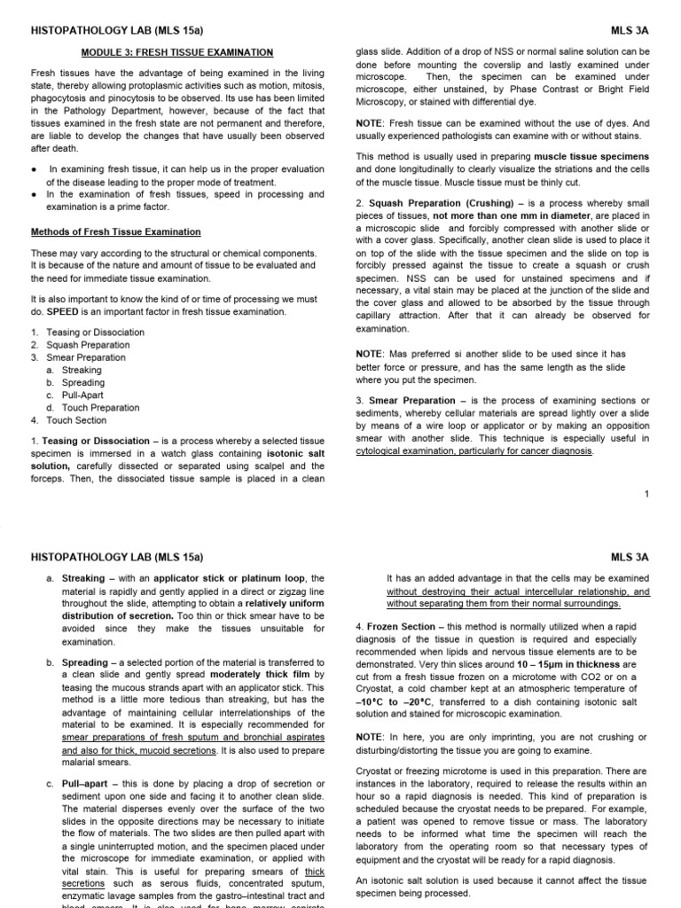 HTP Lab Module3 | PDF