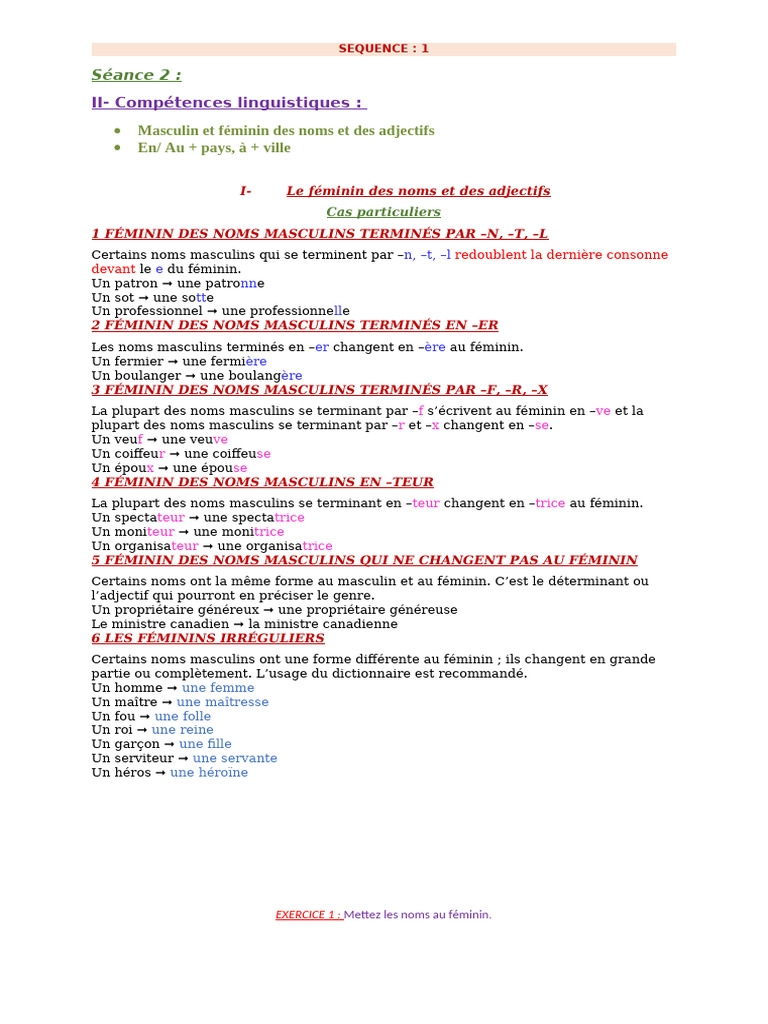 Le Féminin Des Noms Exe | PDF