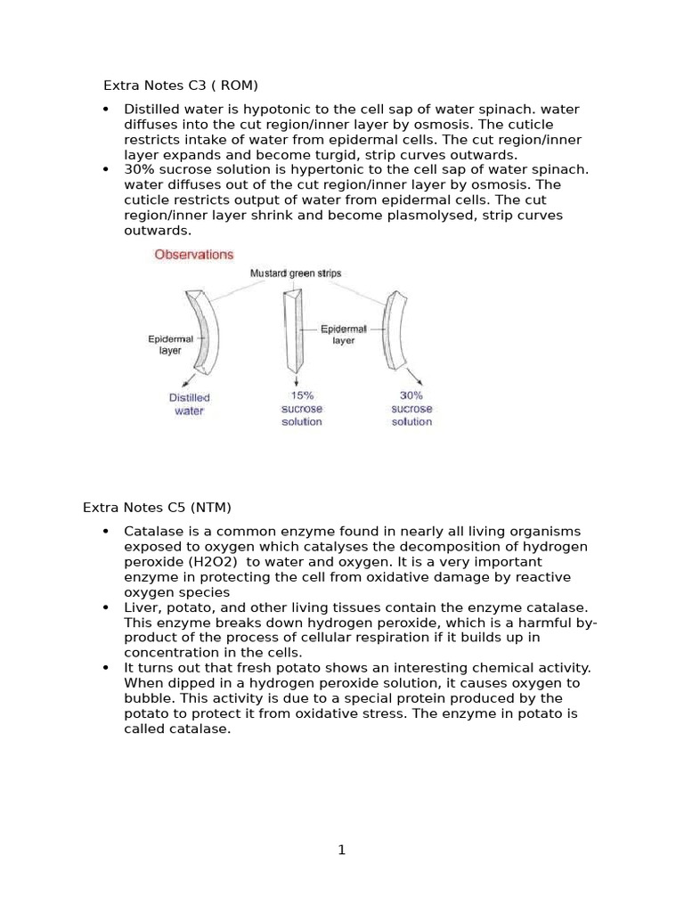 F4 BIO NTM Extra Notes | PDF
