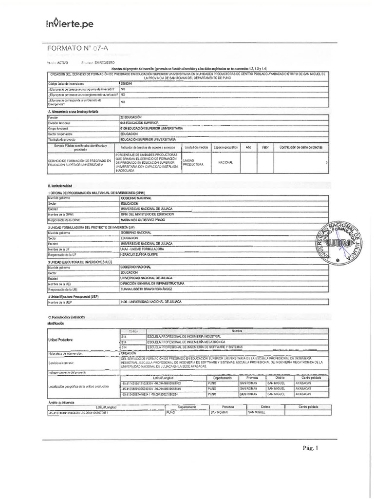 Formato Nro 07-A | PDF