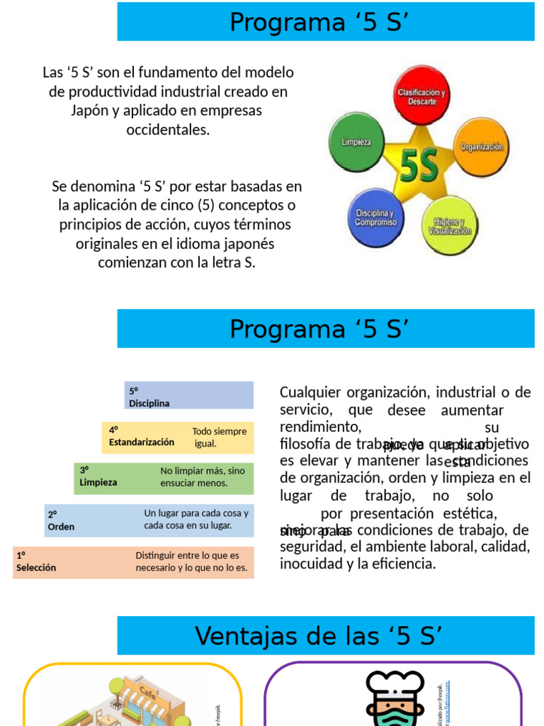 5 S Capacitación | PDF