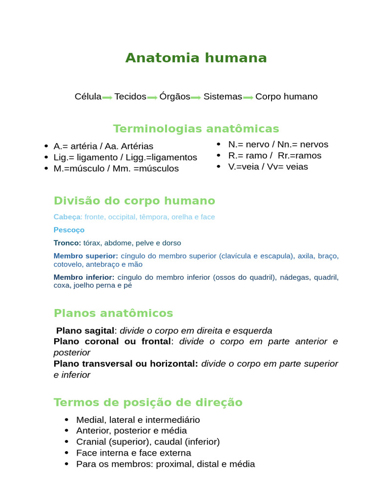 Anatomia Humana | PDF