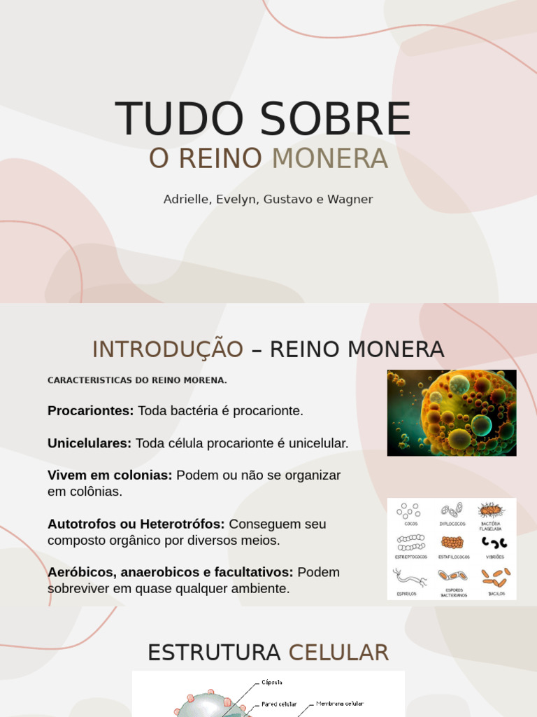 Reino Monera | PDF