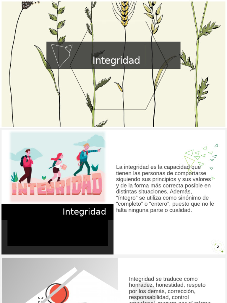 Valor Integridad | PDF