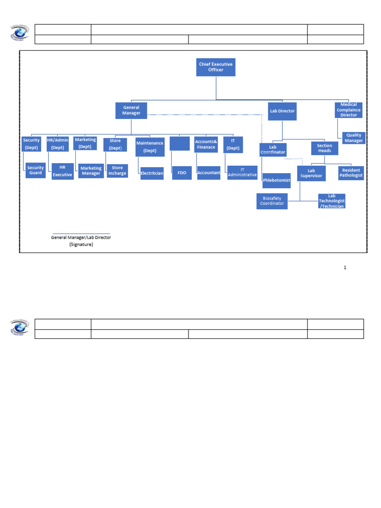Organizational Chart (2024) | PDF