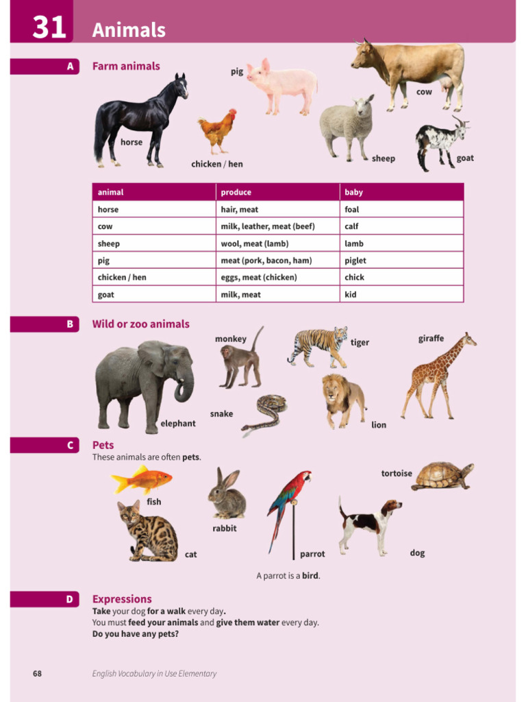 JN & JW Language 2. | PDF