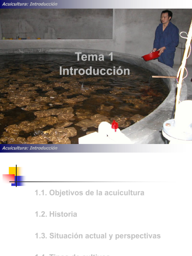 02 - Introducción - Definicion Importancia e Historia | PDF