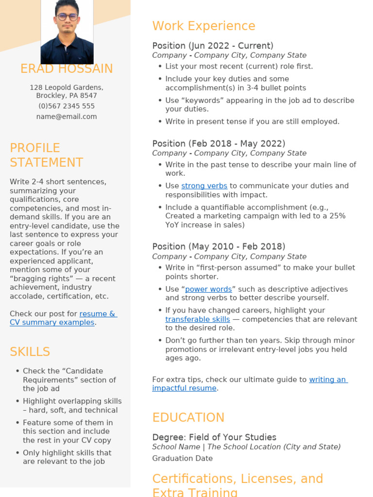 CV Template Star | PDF